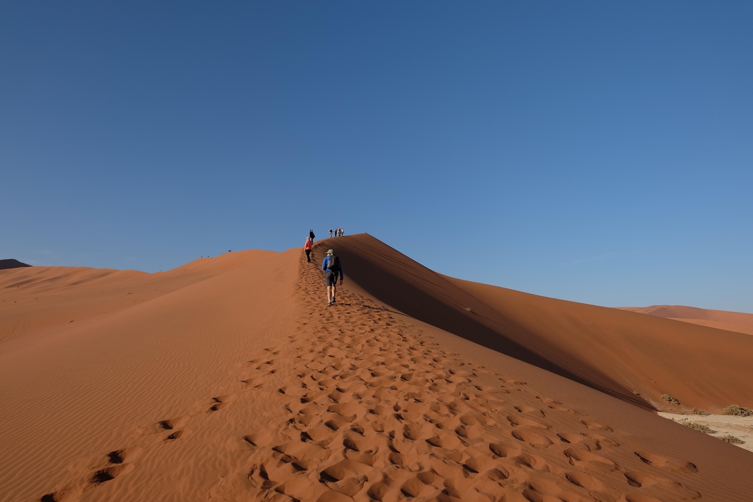 Top Things to See in Sandwich Harbour | Namibia Attractions