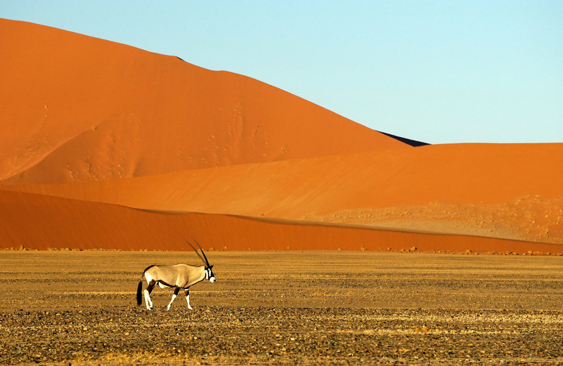 Top Things to See in Sandwich Harbour | Namibia Attractions